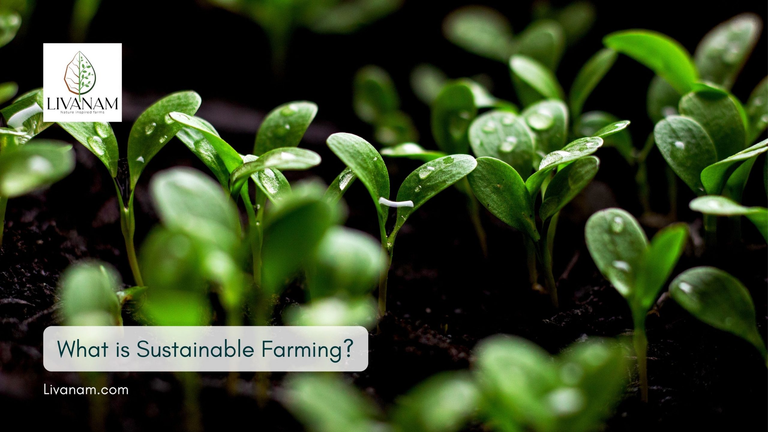 What is Sustainable Farming?